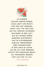 Sommergedichte für eine blühende Fantasie