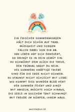 Sommergedichte für eine blühende Fantasie