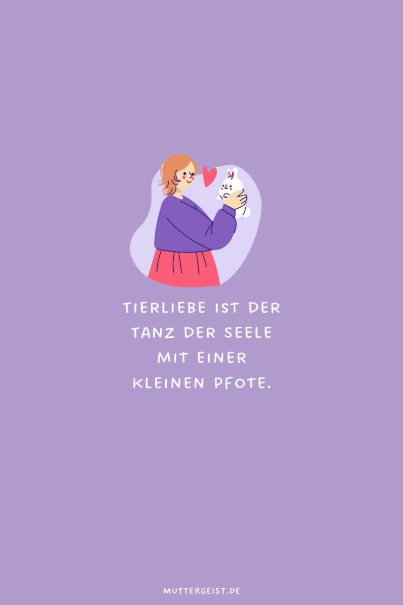 Elegantes Nachdenken Tierliebe Spruche Fotos