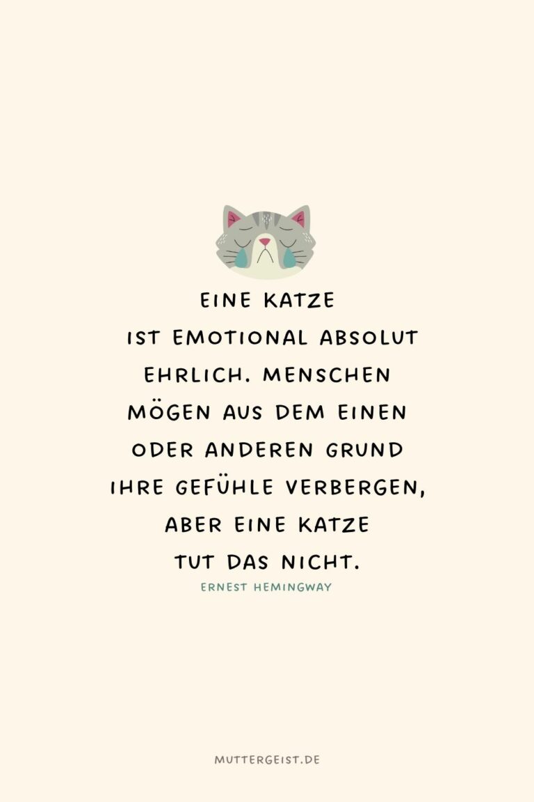 Die schönsten und witzigsten Katzen-Sprüche zum Nachdenken
