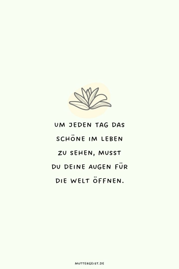 Schone Spruche Die Das Leben Schreibt Fotos